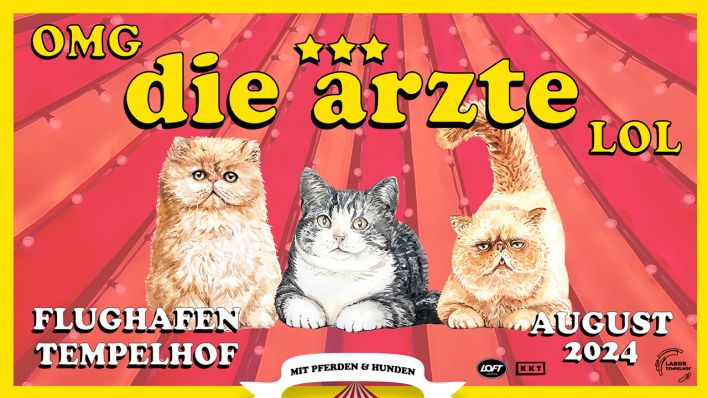 Konzerte In Berlin Tempelhof Radioeins Präsentiert Die Ärzte Omg